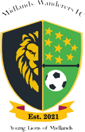 Premier Soccer League - www.psl.co.za - official website