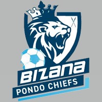 Premier Soccer League - www.psl.co.za - official website